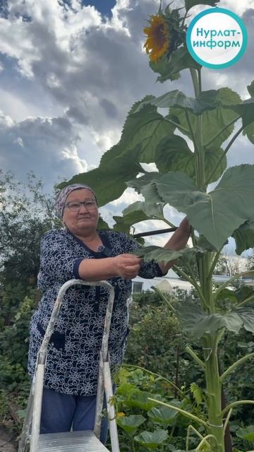 3 метра — не предел!