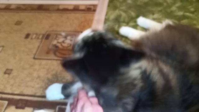 Детишки-малепуськи