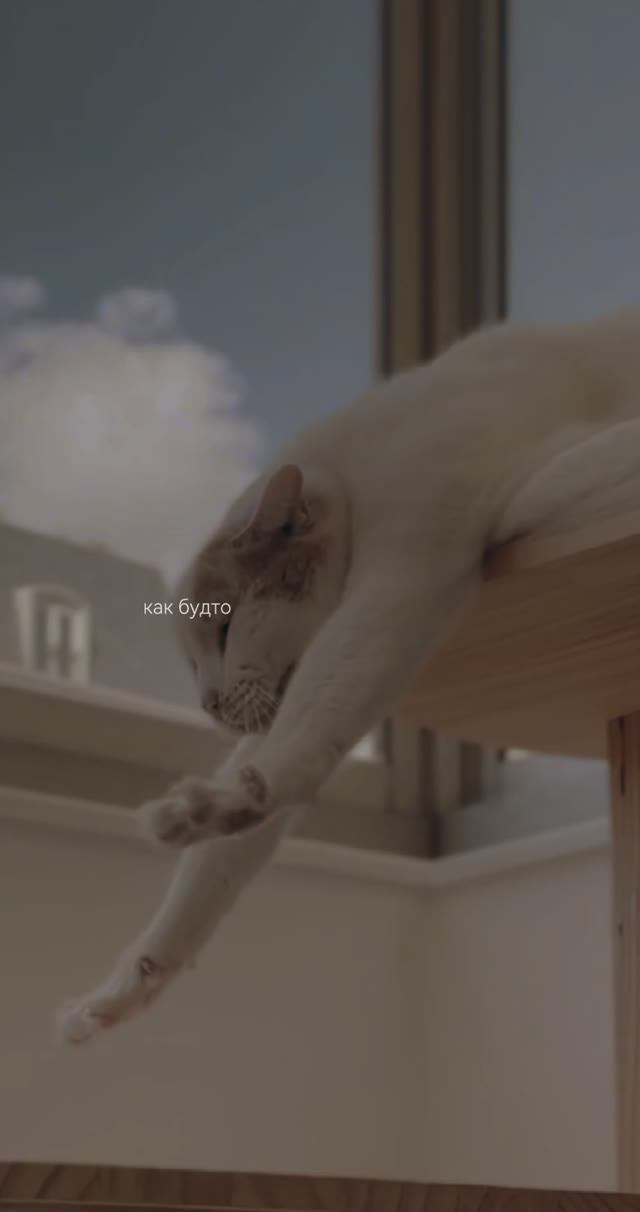 Почему нам важно, чтобы ваши окна были идеальными для вас?