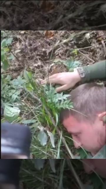 Захват ДРГ ВСУ в Брянской области.