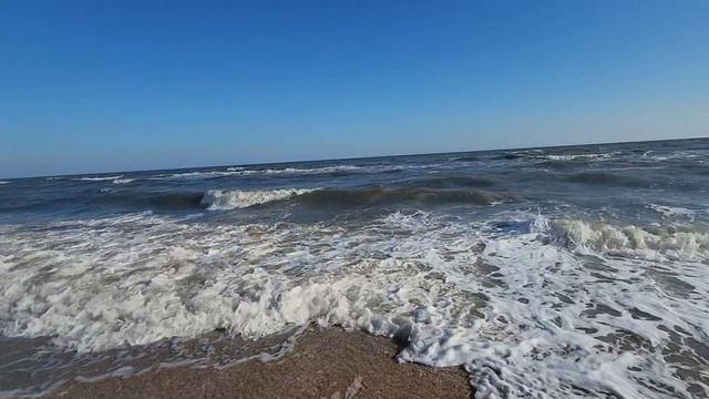 Азовское море сентябрь. Море штормит, медуз нет.