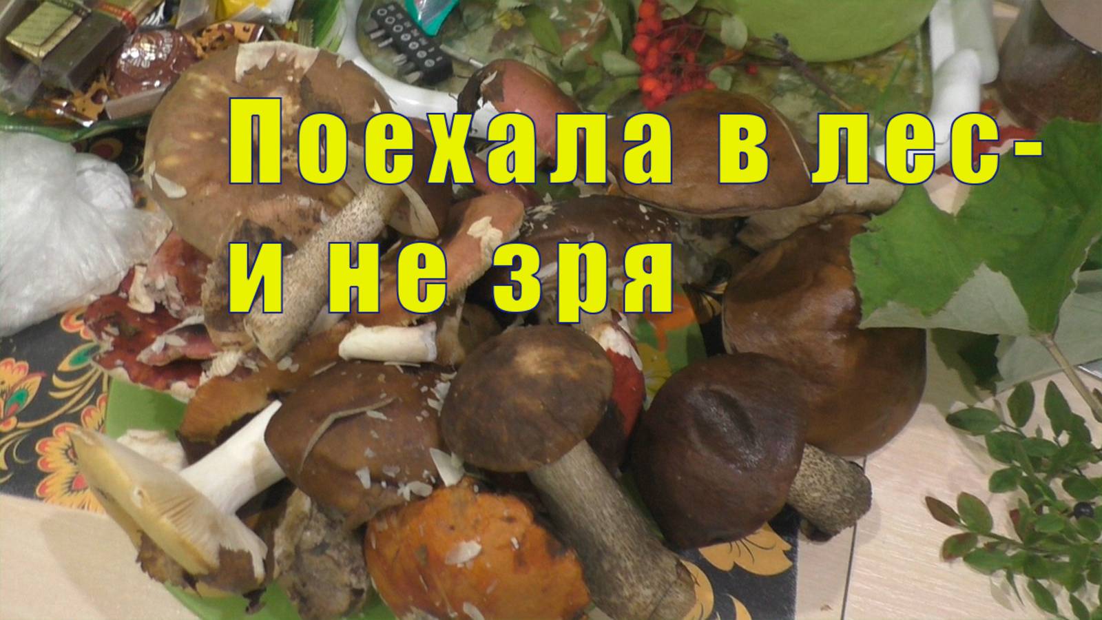 УЖИН ПЕРЕД ДОРОГОЙ/ УЕХАЛА ВЕЧЕРОМ В ЛЕС/ 31 августа 2025