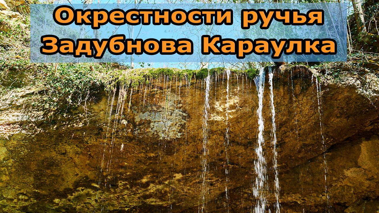 Окрестности ручья Задубнова Караулка