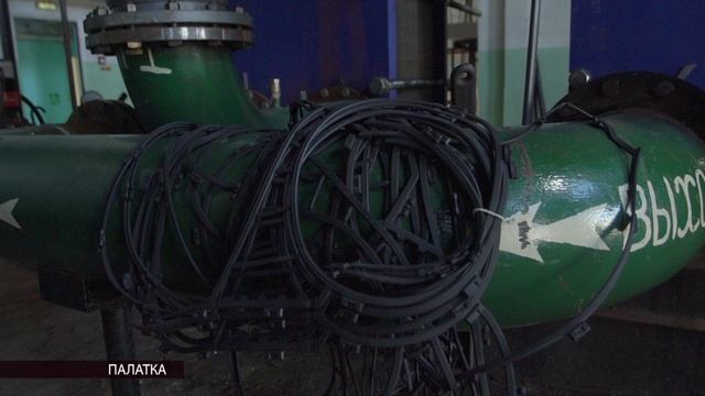 ЭХО ДНЯ 4 сентября 2025