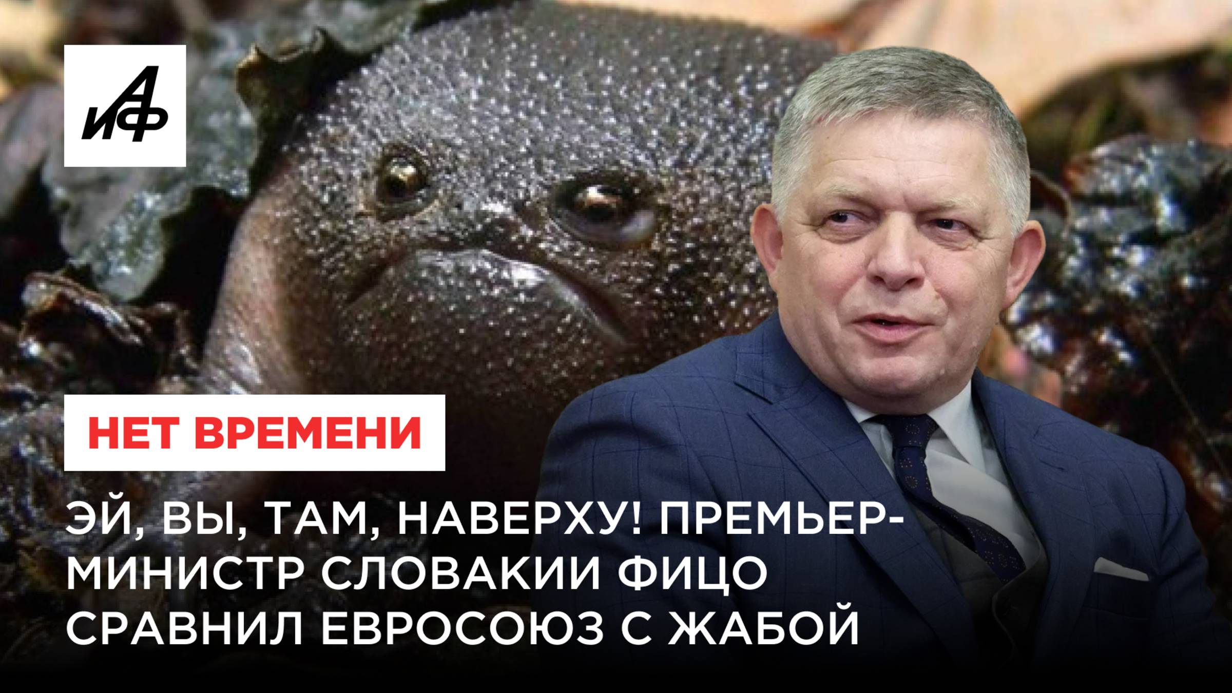 Эй, вы, там, наверху! Премьер-министр Словакии Фицо сравнил Евросоюз с жабой