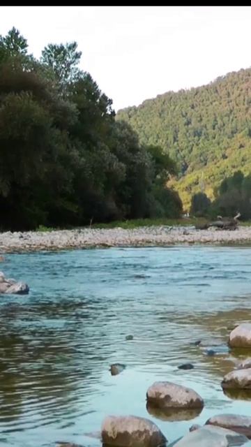 На северо-восток" трек с альбома  "Молодка"#фолкпесни #авторские песни #индифолк #песни2025