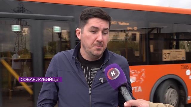 Новости Калининграда — итоги недели, 3 сентября 2025 каскад тв