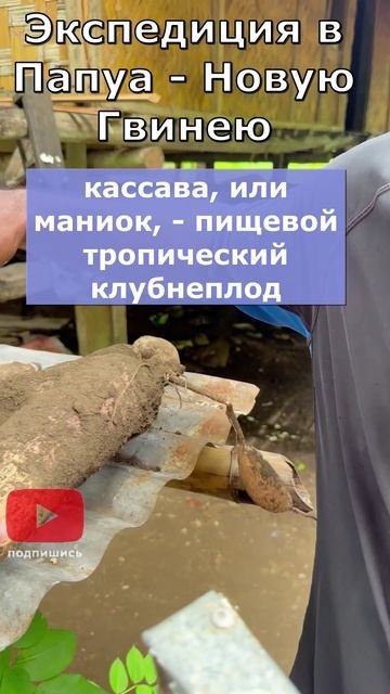 283. Бонем готовит кассава (2)