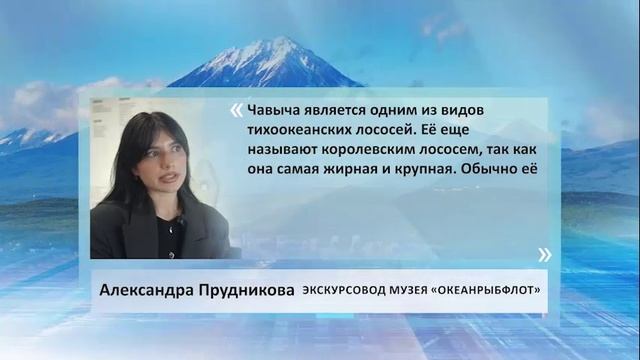•ЦИТАТА: ЧАВЫЧА — ВИД ТИХООКЕАНСКИХ ЛОСОСЕЙ, ИЗВЕСТНЫЙ КАК КОРОЛЕВСКИЙ ЛОСОСЬ.•