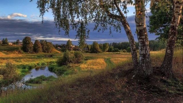 Безмолвная слеза...(А.В.)