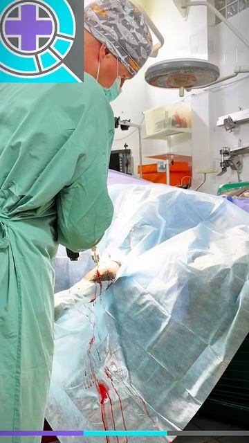 MAXIMA VET: Лечим переломы у молодых лошадей!