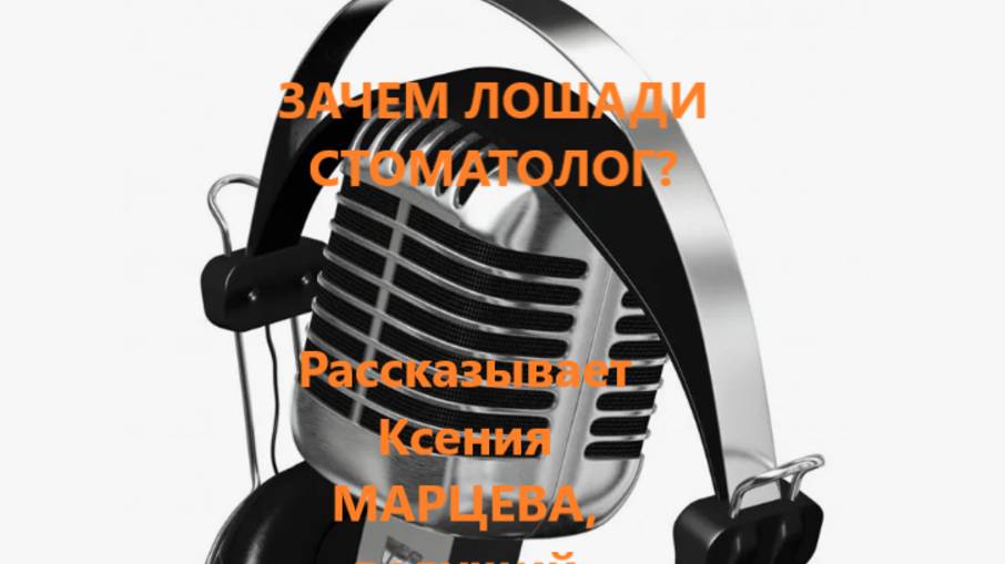 ПОДКАСТ - ЗАЧЕМ ЛОШАДИ СТОМАТОЛОГ - Ксения МАРЦЕВА - MAXIMA VET 12-08-2025