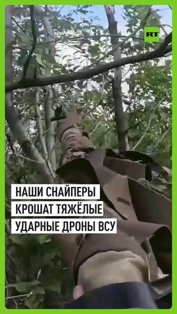 Российские снайперы уничтожили более 100 тяжёлых ударных дронов ВСУ