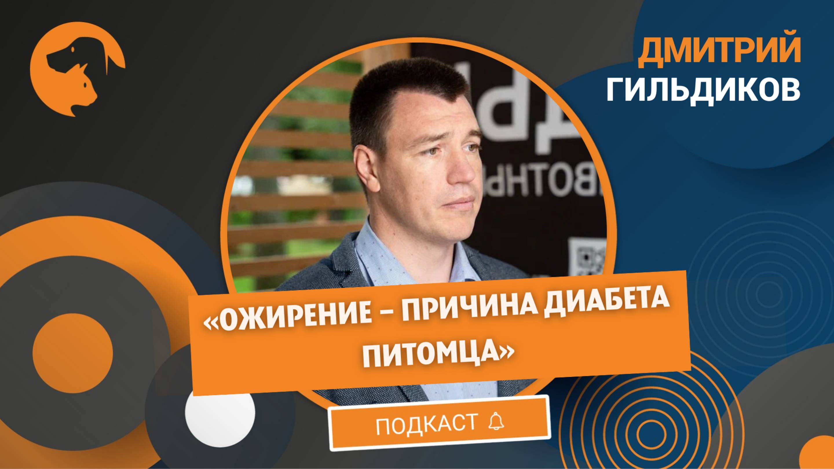 Как распознать и лечить сахарный диабет у домашних животных