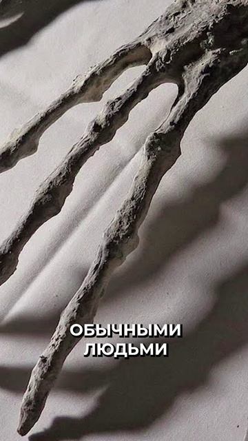 📍Трехпалые мумии: ученые объяснили секрет «инопланетных останков»