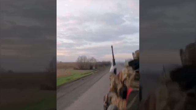СВО Стране