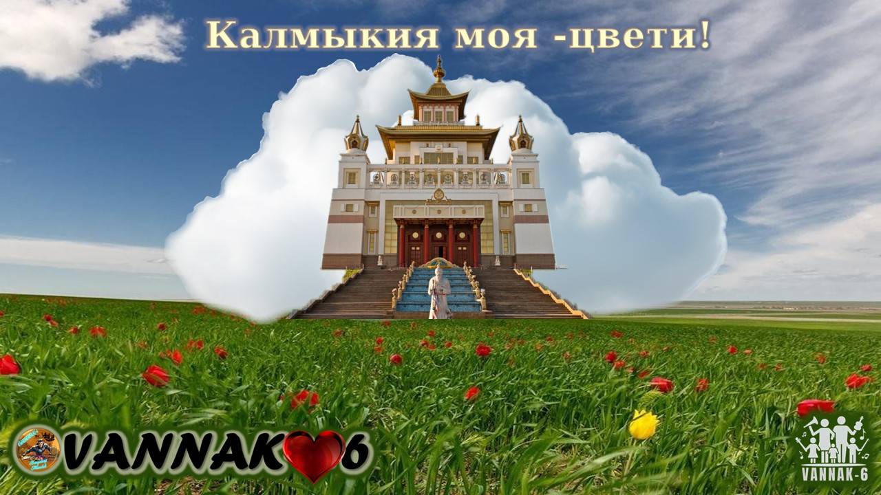 Калмыкия моя - цвети!