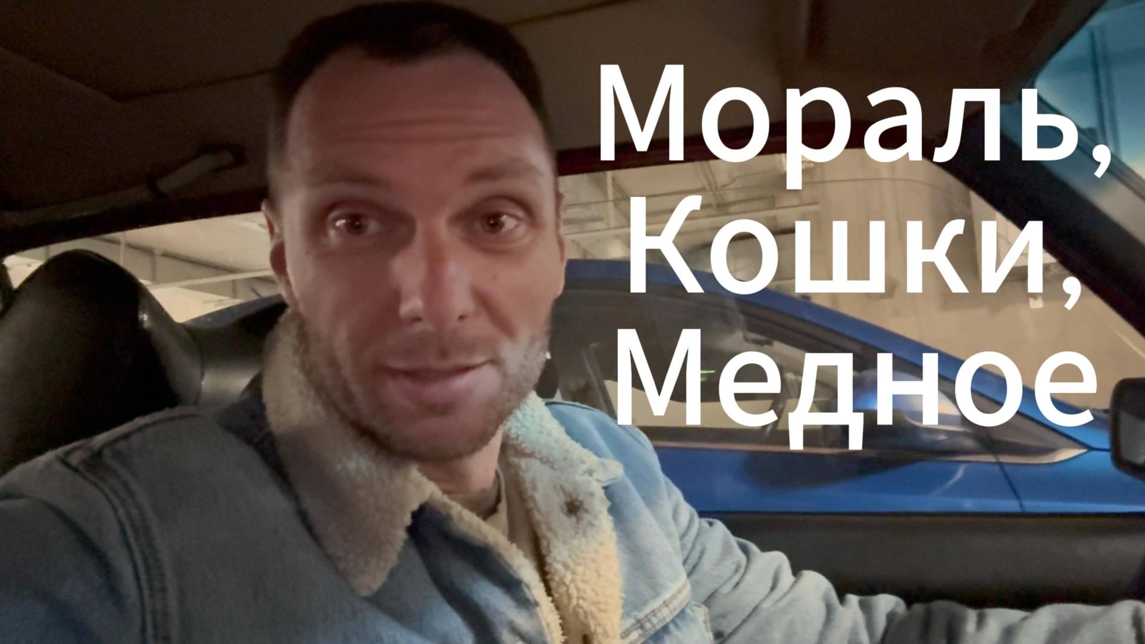 Мораль, кошки , медное озеро #Вихрицкий #блогер #жизнь #влог #спб #мир #любовь #спб #я #мы #Россия
