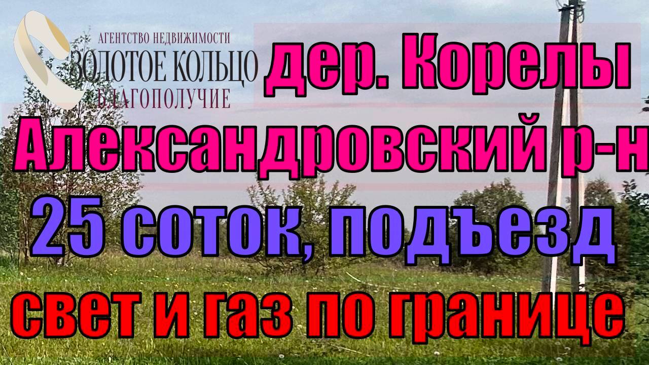 Участок 25 соток у дороги в д.Корелы, рядом с д. Верхние Дворики, Александровский район. Газ. Свет.