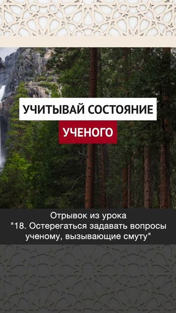 Учитывай состояние ученого || Динар абу Идрис #ислам #факты #истина #вера #коран #аллах #пост