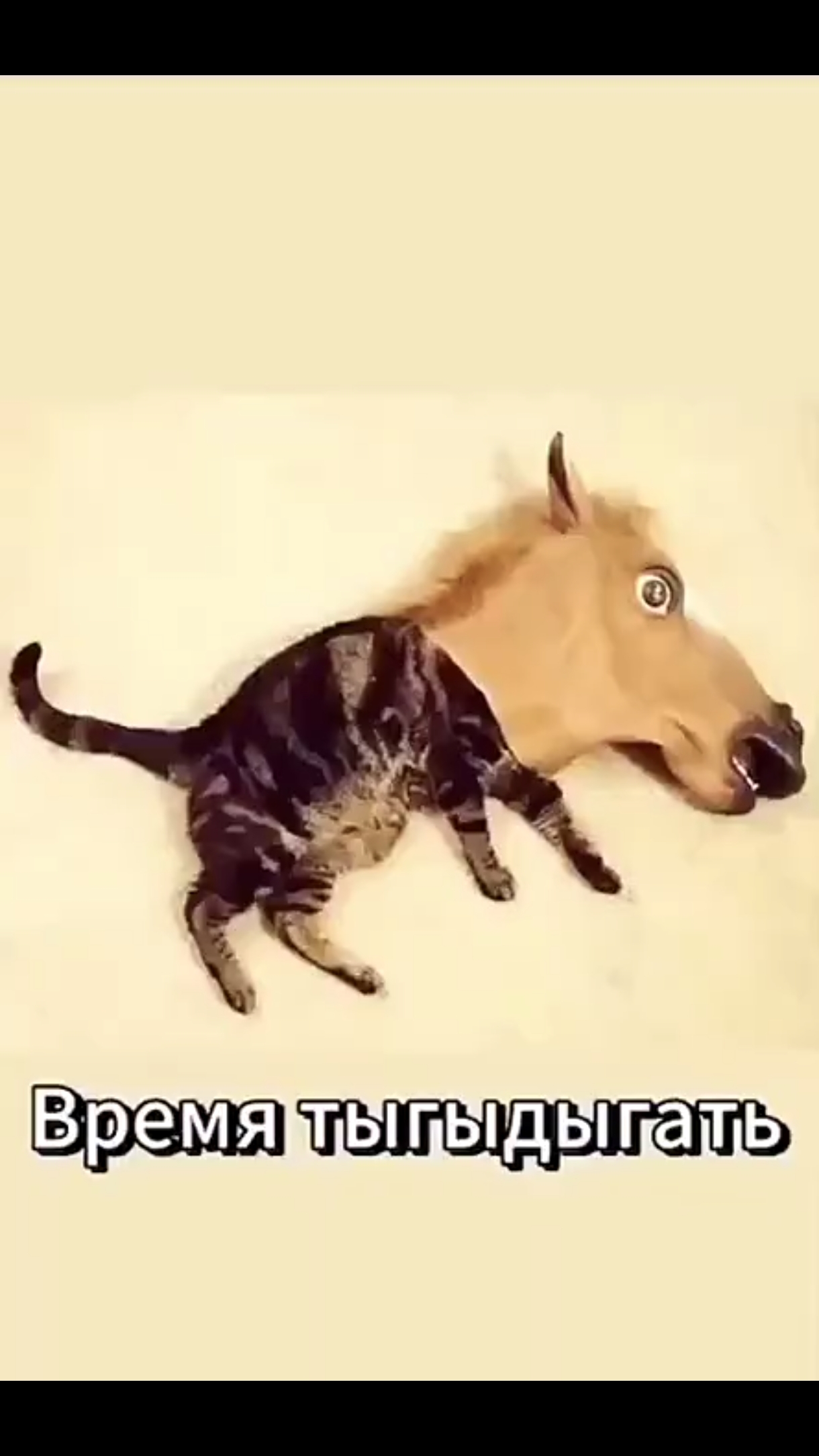 Время тыгыдыгать!