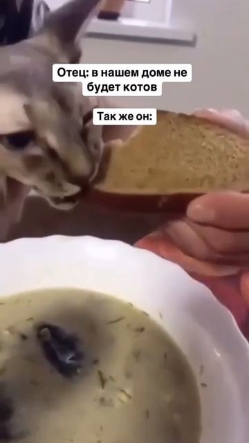 Кушай супчик с хлебом!