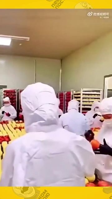 Давайте сделаем наш мир ярче!