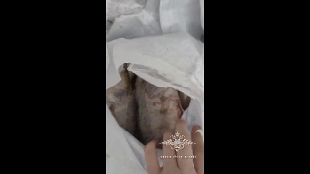 Ирина Волк: В Ульяновске полицейские изъяли более 55 тонн немаркированной рыбной продукции