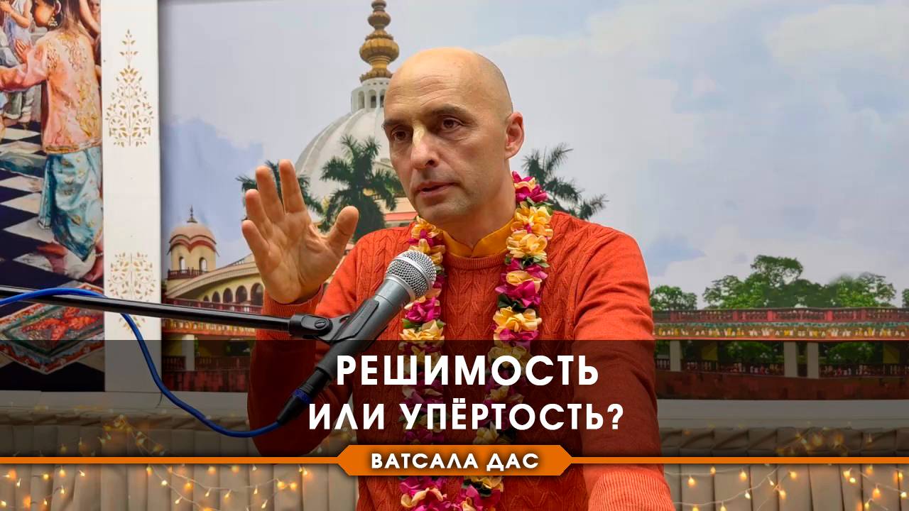 Решимость или упёртость