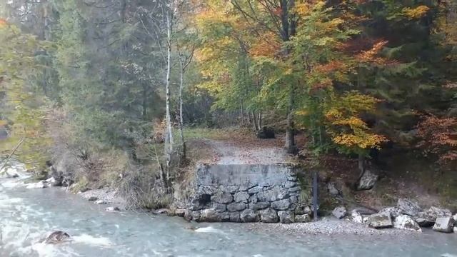 Дождь Осени (8)