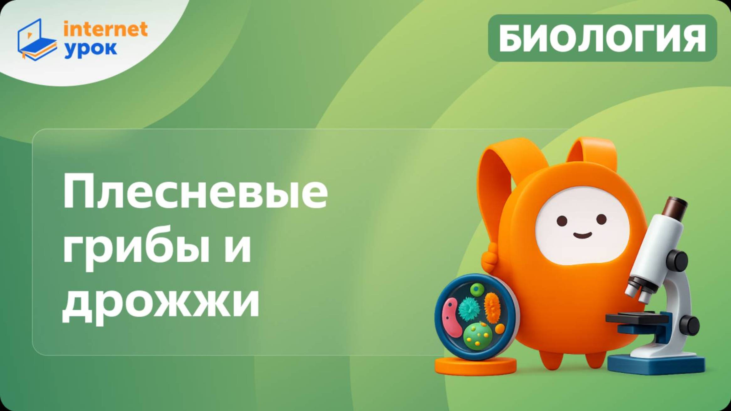 Плесневые грибы и дрожжи. Видеоурок по биологии 5 класс