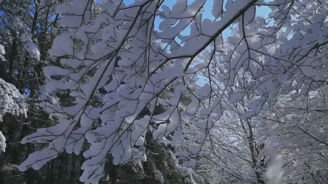 С. Рахманинов - Элегия - S. Rachmaninoff  - Elegie op.3 No.1