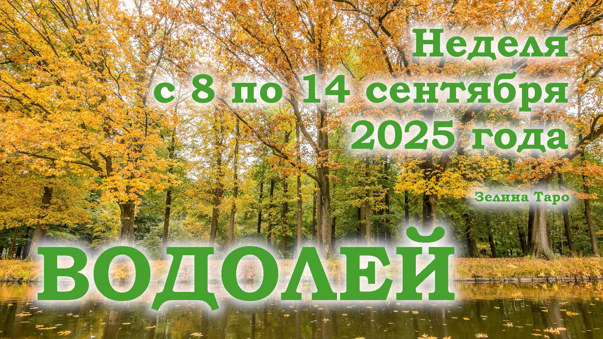ВОДОЛЕЙ | ТАРО прогноз на неделю с 8 по 14 сентября 2025 года