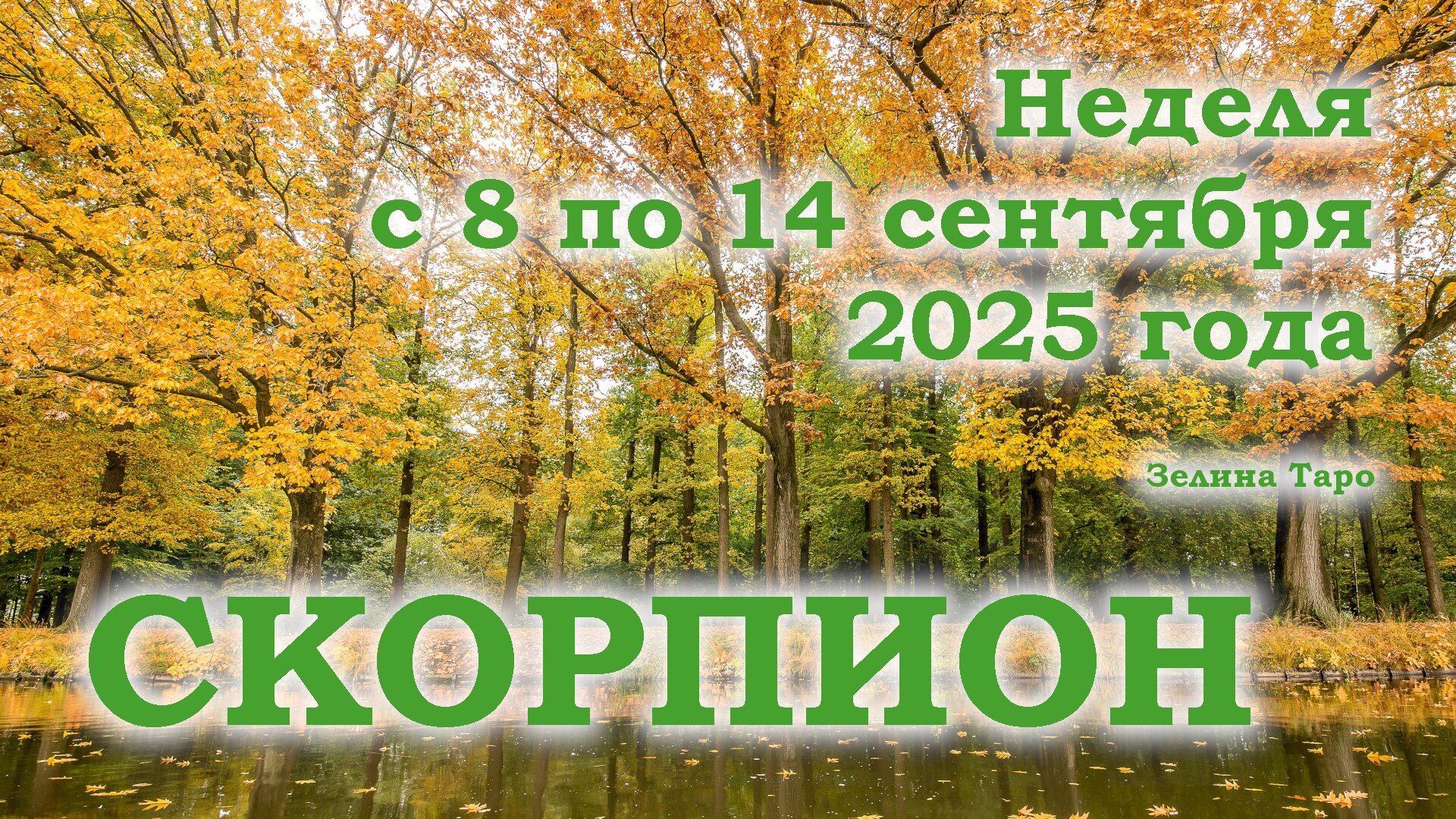 СКОРПИОН | ТАРО прогноз на неделю с 8 по 14 сентября 2025 года