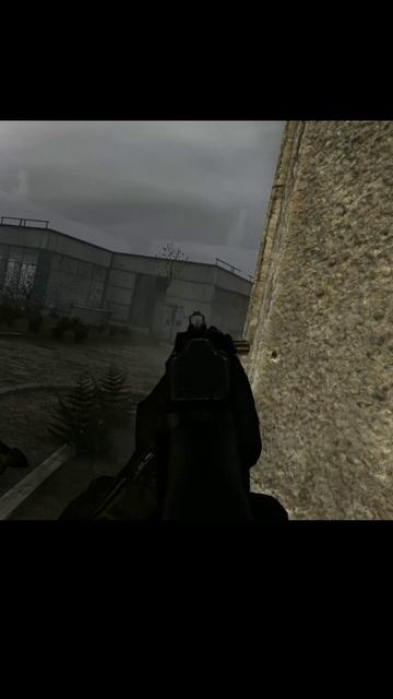 вася и его мечта прикол из сталкер