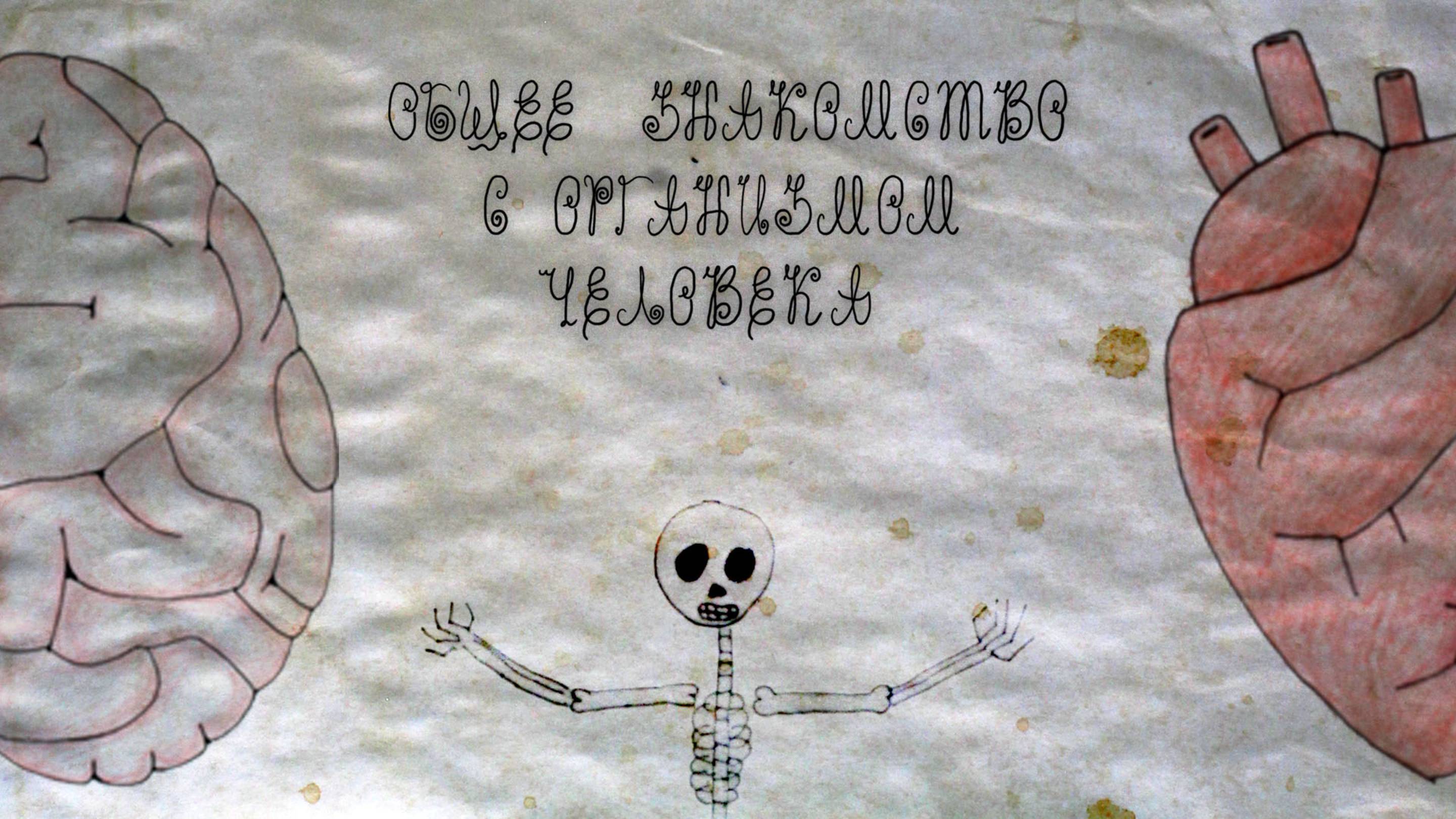Мультфильм «Общее знакомство с организмом человека» 6 смена "Фестивалим!" «Максатиха КЭМП» 2025 год
