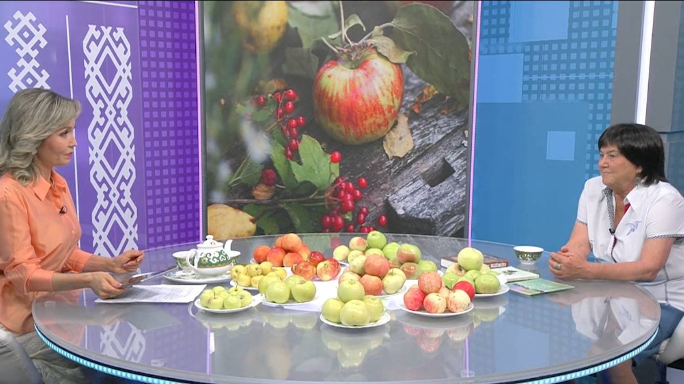 Хәйерле иртә, Республика! - 05.09.2025 Баҡсасылар миҙгел яба