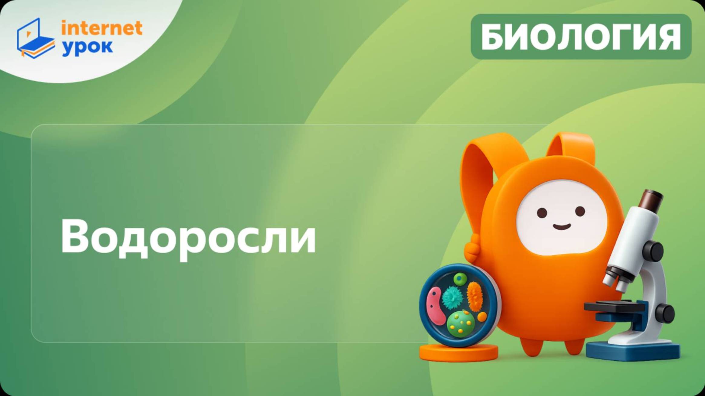 Водоросли. Видеоурок по биологии 5 класс
