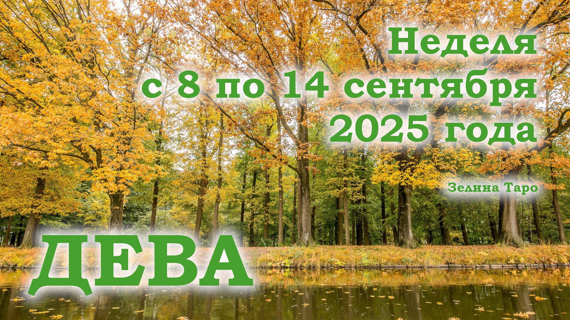 ДЕВА | ТАРО прогноз на неделю с 8 по 14 сентября 2025 года