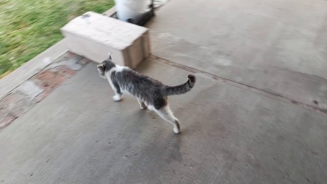 Мама на кухне, папа во дворе, а Анютка в школе 😉. Небольшая закупка 🛍️