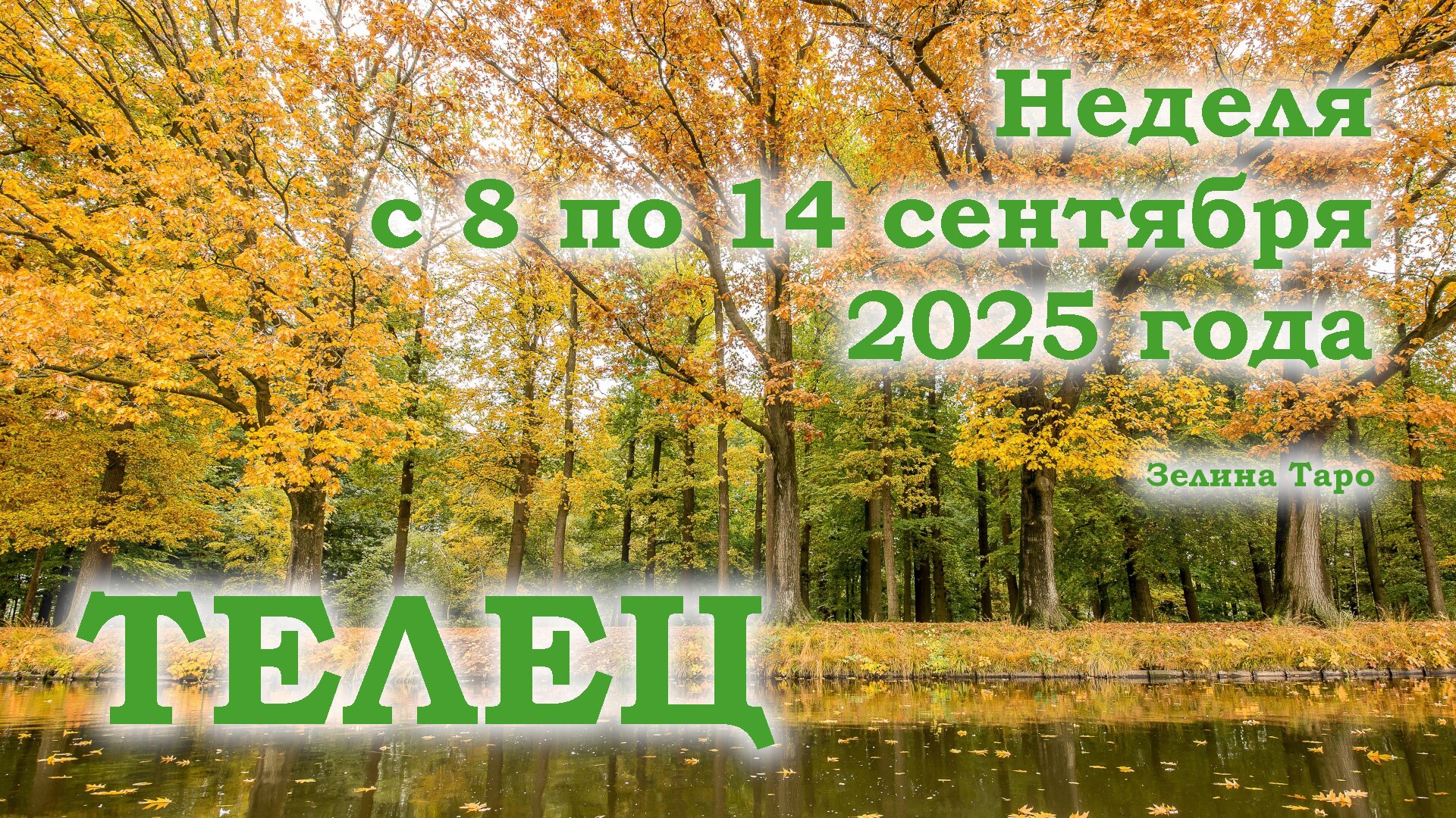 ТЕЛЕЦ | ТАРО прогноз на неделю с 8 по 14 сентября 2025 года
