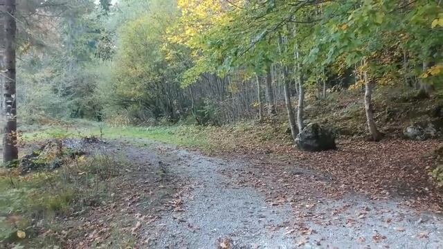 Дождь Осени (3)