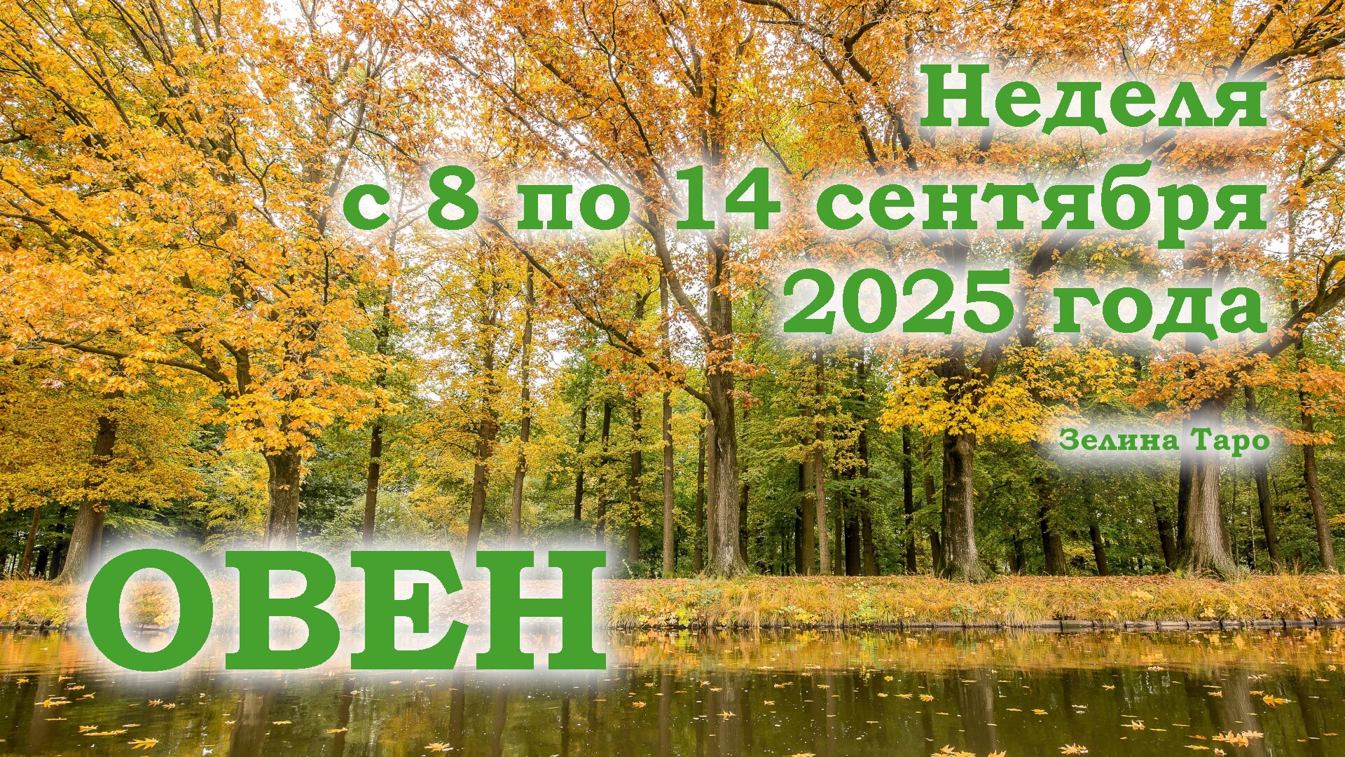 ОВЕН | ТАРО прогноз на неделю с 8 по 14 сентября 2025 года