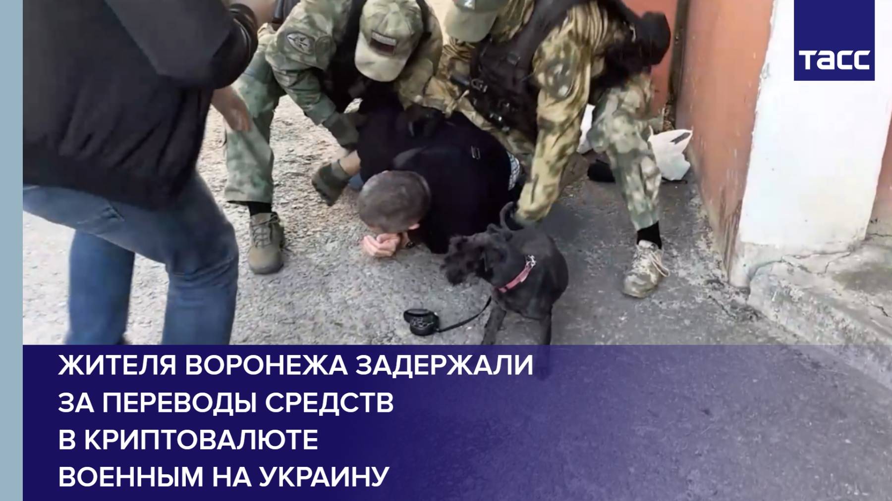 Жителя Воронежа задержали за переводы средств в криптовалюте военным на Украину
