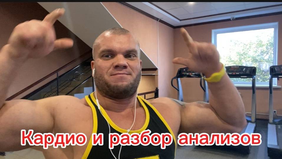мост день 4