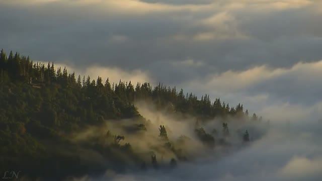 Георг Фридрих Гендель – George Frideric Handel. Аллилуйя (хор из оратории «Мессия»)