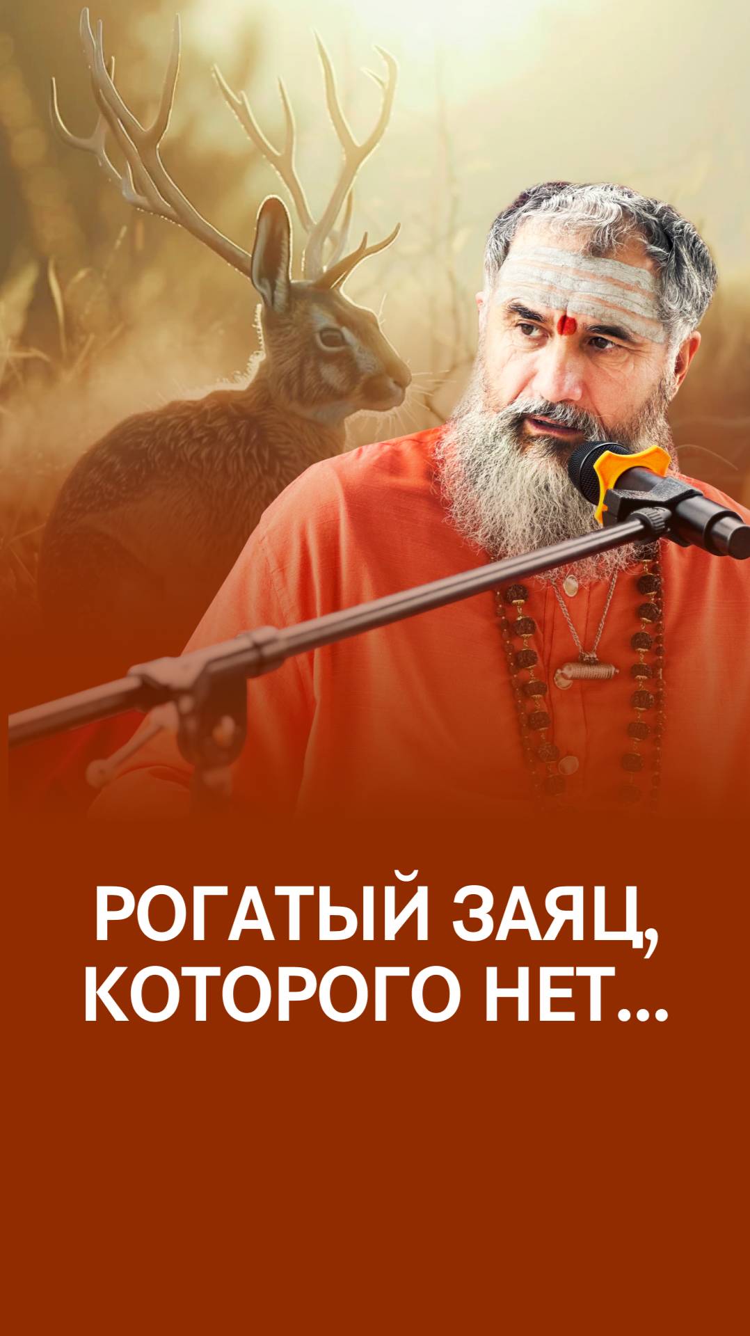 То, что ты думаешь о мире - рога и копыта зайца