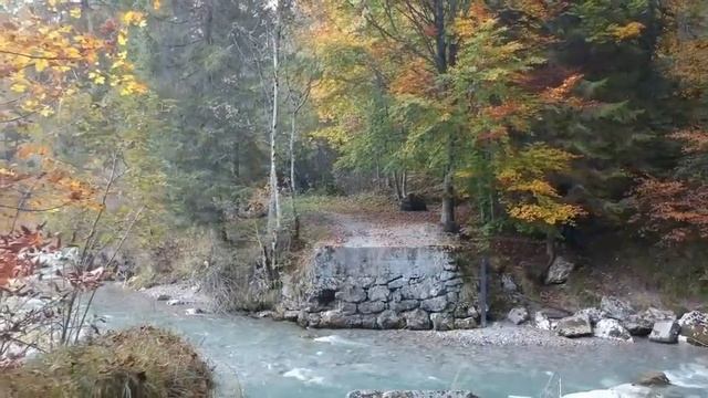 Дождь Осени (5)