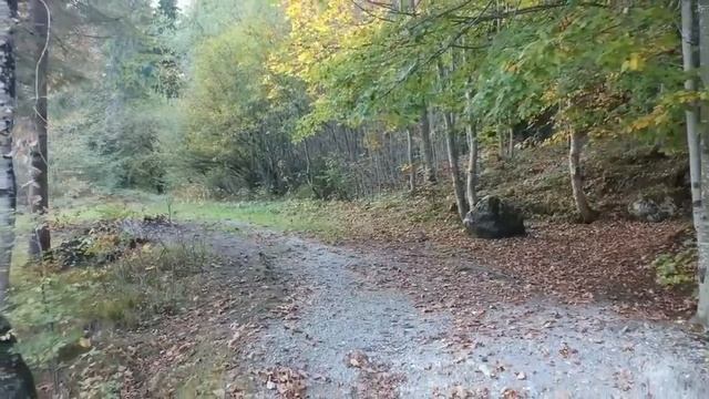 Дождь Осени (2)