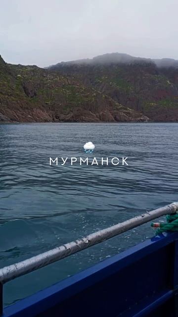 ✈️ О поездке в Мурманск